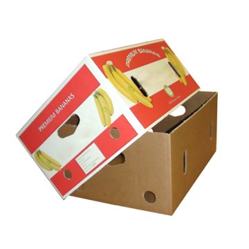 Wholesale Tomato Box Fruit Carton Box Vegetable Packaging Box